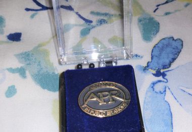 APR: Demystifying the Panel Presentation … – PRsay